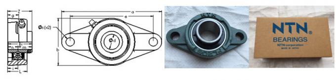 NTN Flange Pillow Block Bearing UCFL UCFL205 with Cast Iron Material ISO