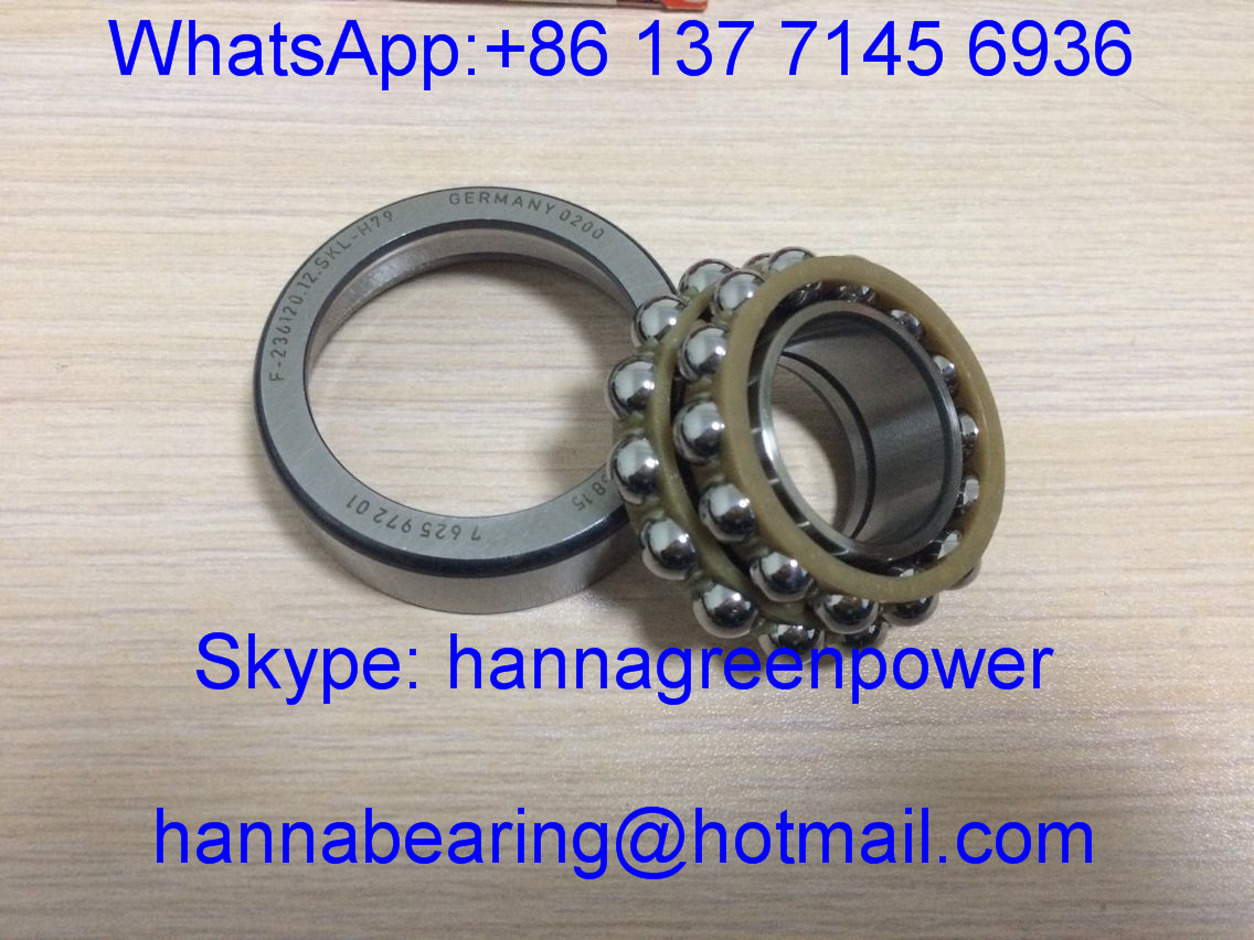 F-236120.12.SKL-H79 BMW Differential Angular Contact Ball Bearing F ...